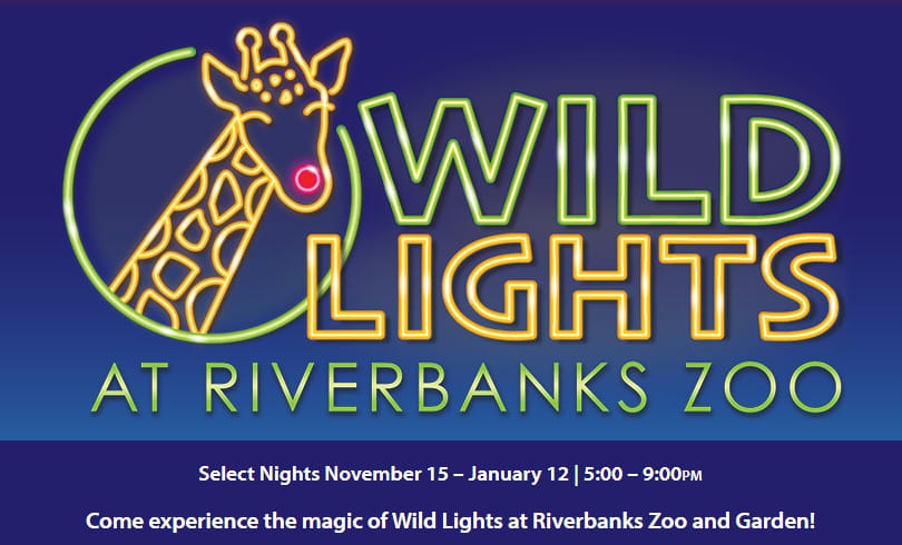 Parade Day in the CWC - Greater Cayce West Columbia Chamber of Commerce